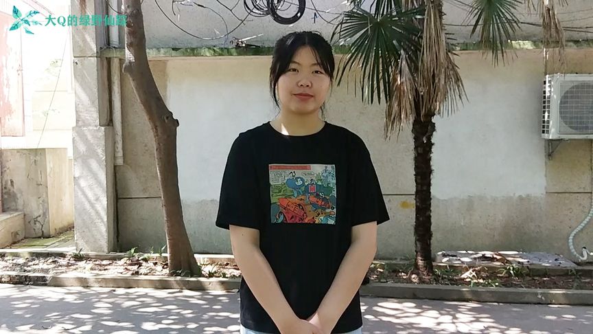“东园载酒西园醉,摘尽枇杷一树金”枇杷好吃用处还大,种起来吧