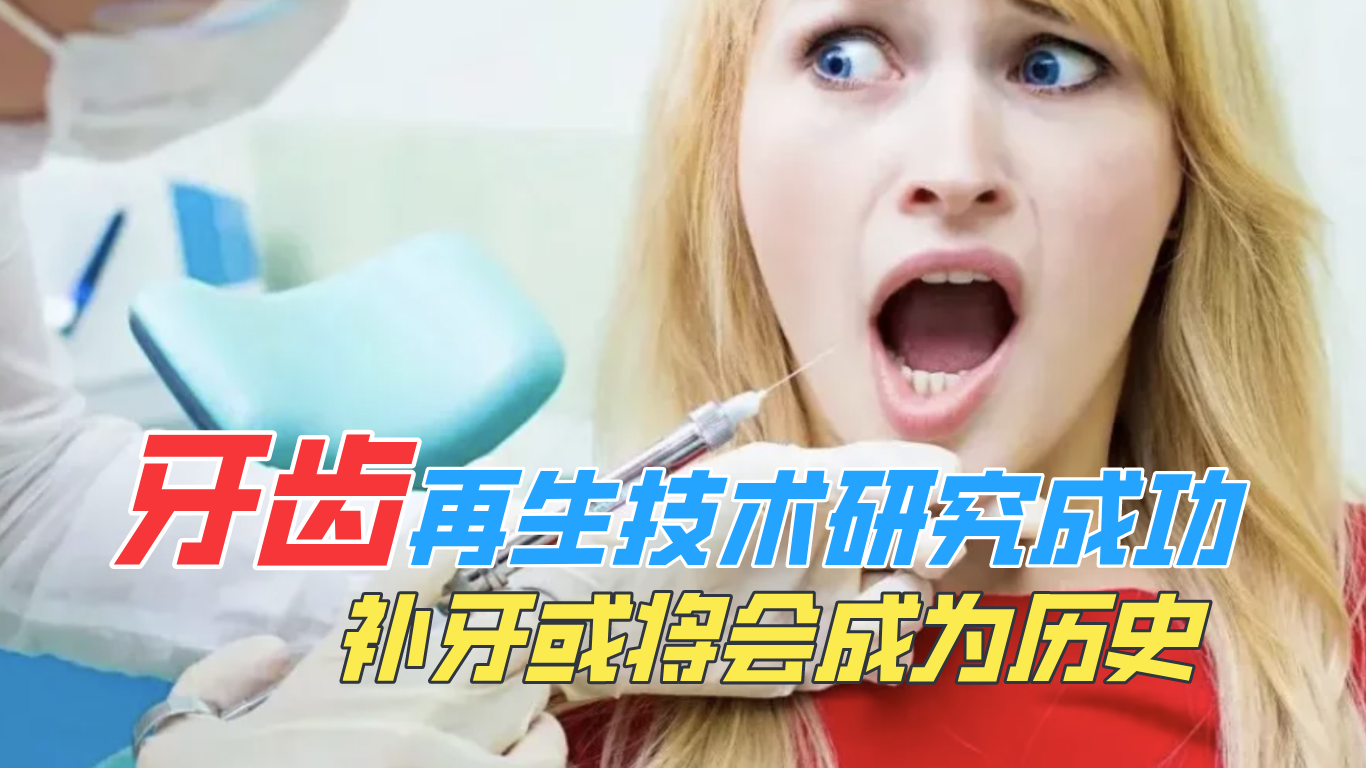 牙齿再生技术研究成功,牙齿再生不是梦,补牙或将会成为历史?