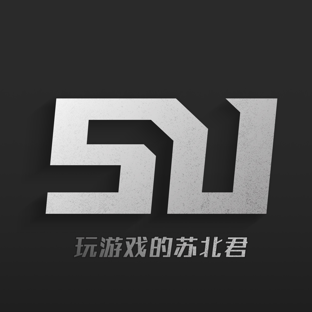 玩游戏的苏北君 
