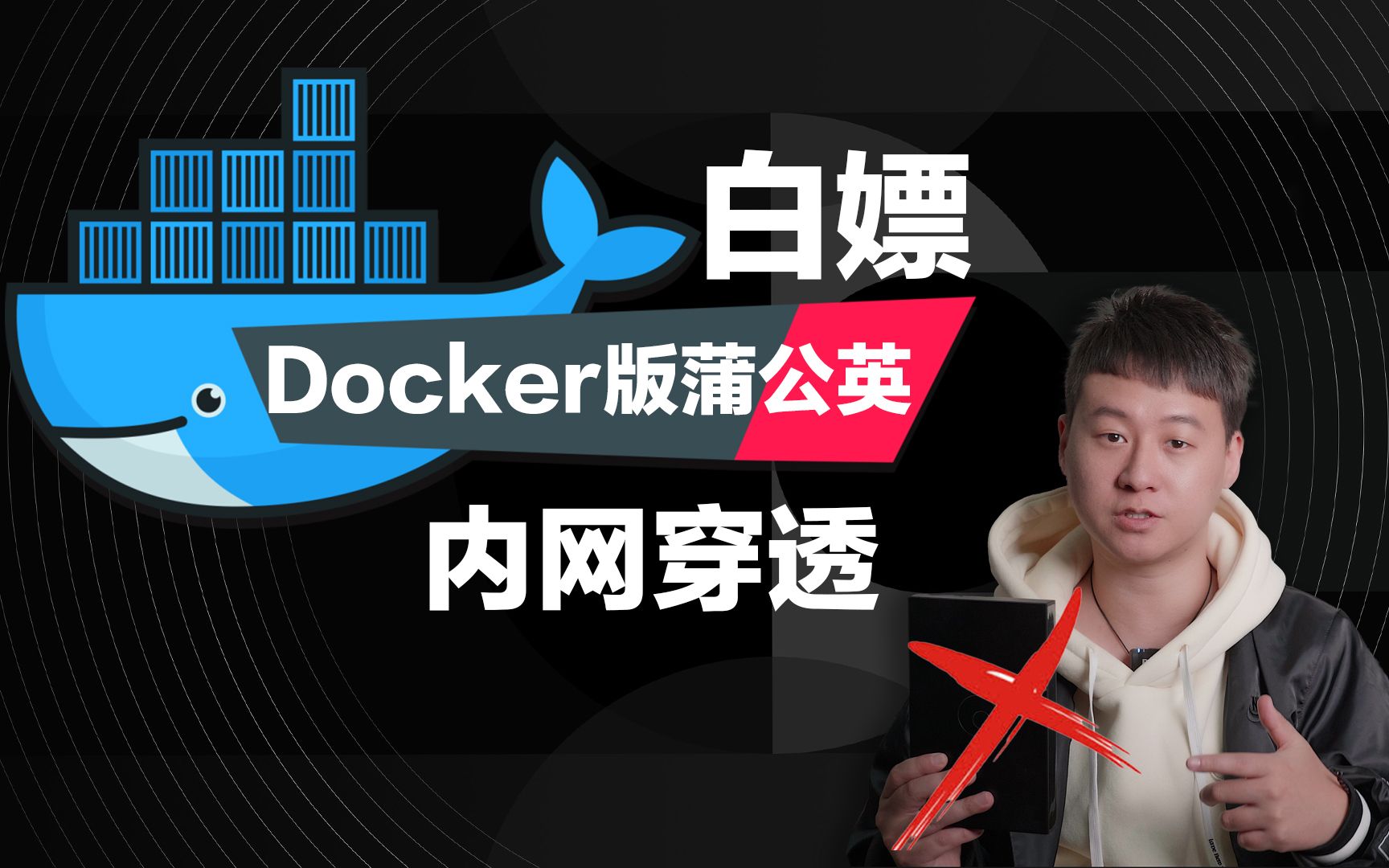 白嫖蒲公英docker版的内网穿透,群晖和其他linux系统都适用。