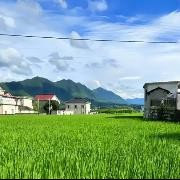 她的阳光之心 