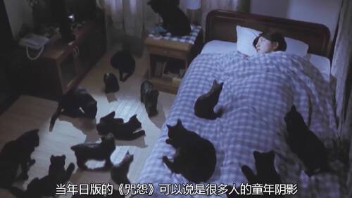 白天刷不着,晚上躲不焯,美版《咒怨》