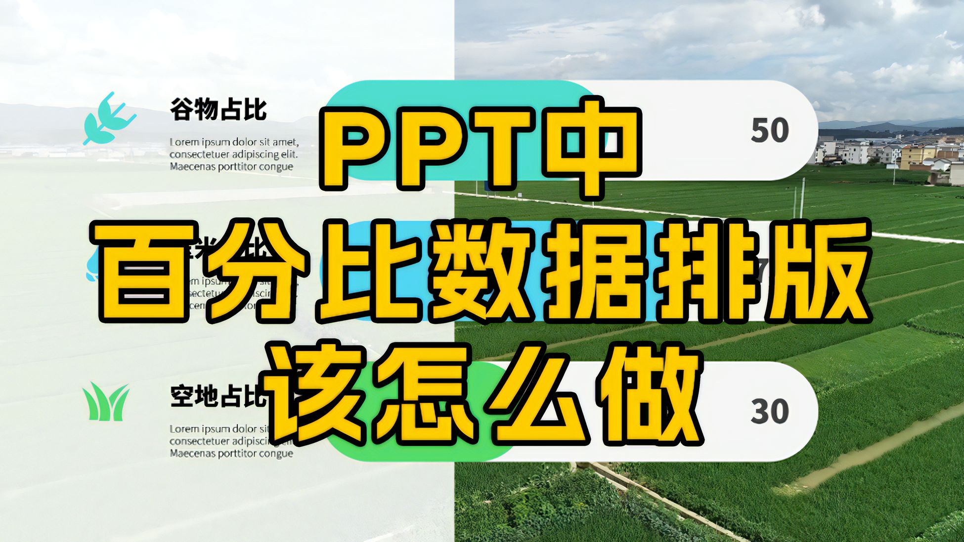 PPT中百分比数据排版该怎么做