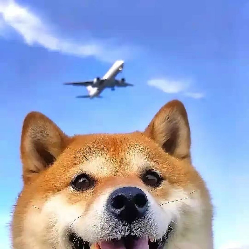 教的就是设计 
