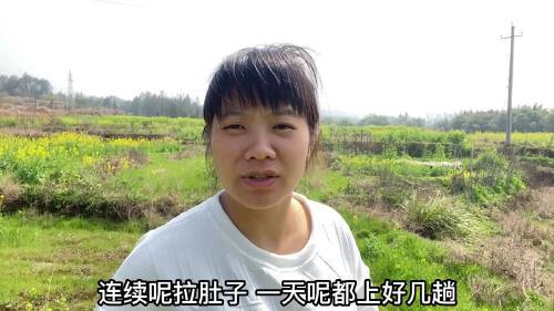 农田里随处可见的“止泻草”,原来它的用途这么大,一起来认识下