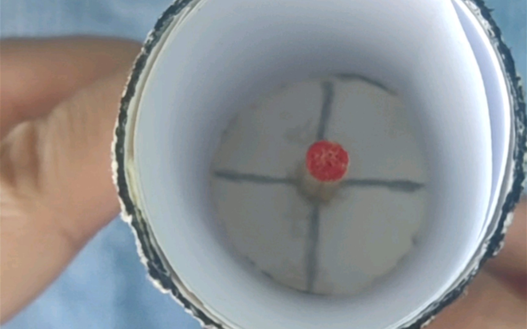 【玩生物】显微镜物象调节模拟器