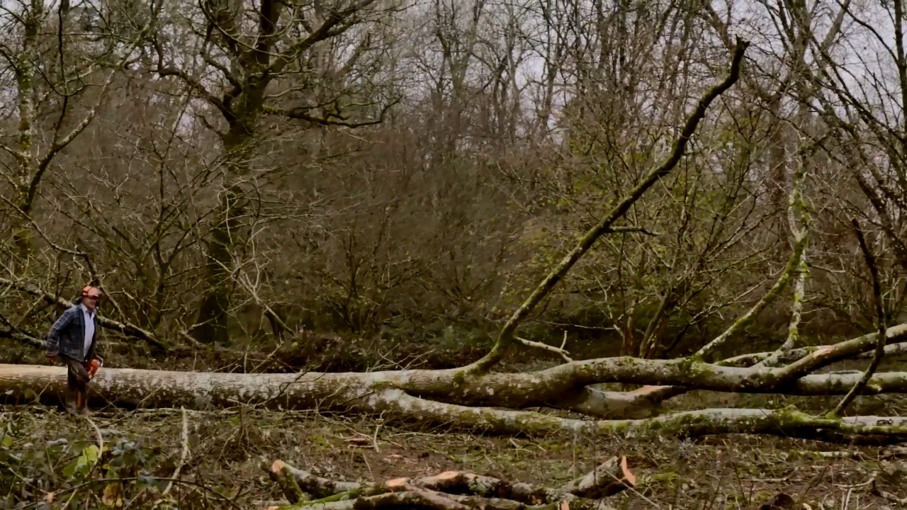 在林区体验定向伐木的乐趣!有序管理持续发展的典范林地!