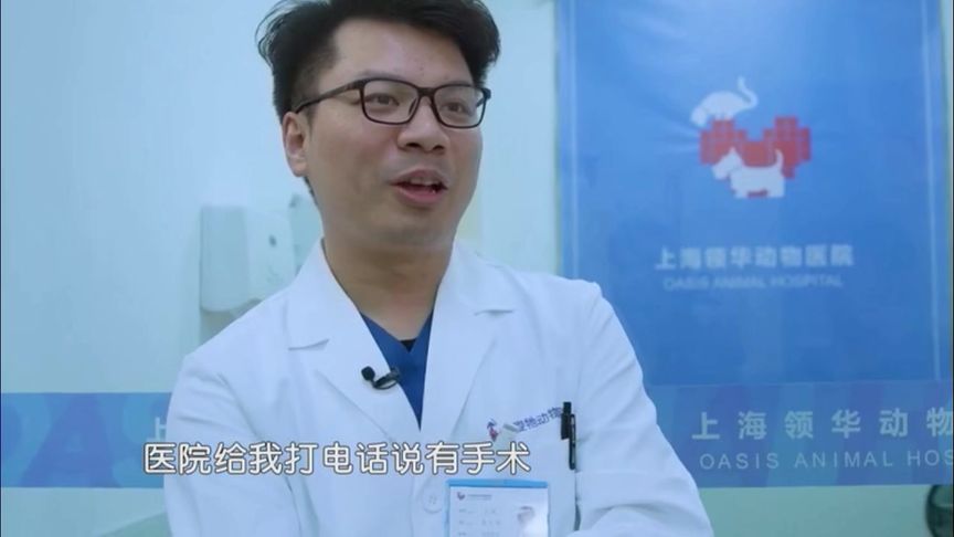 宠物医院1,没有人能理解这行心酸,除了一个兽医
