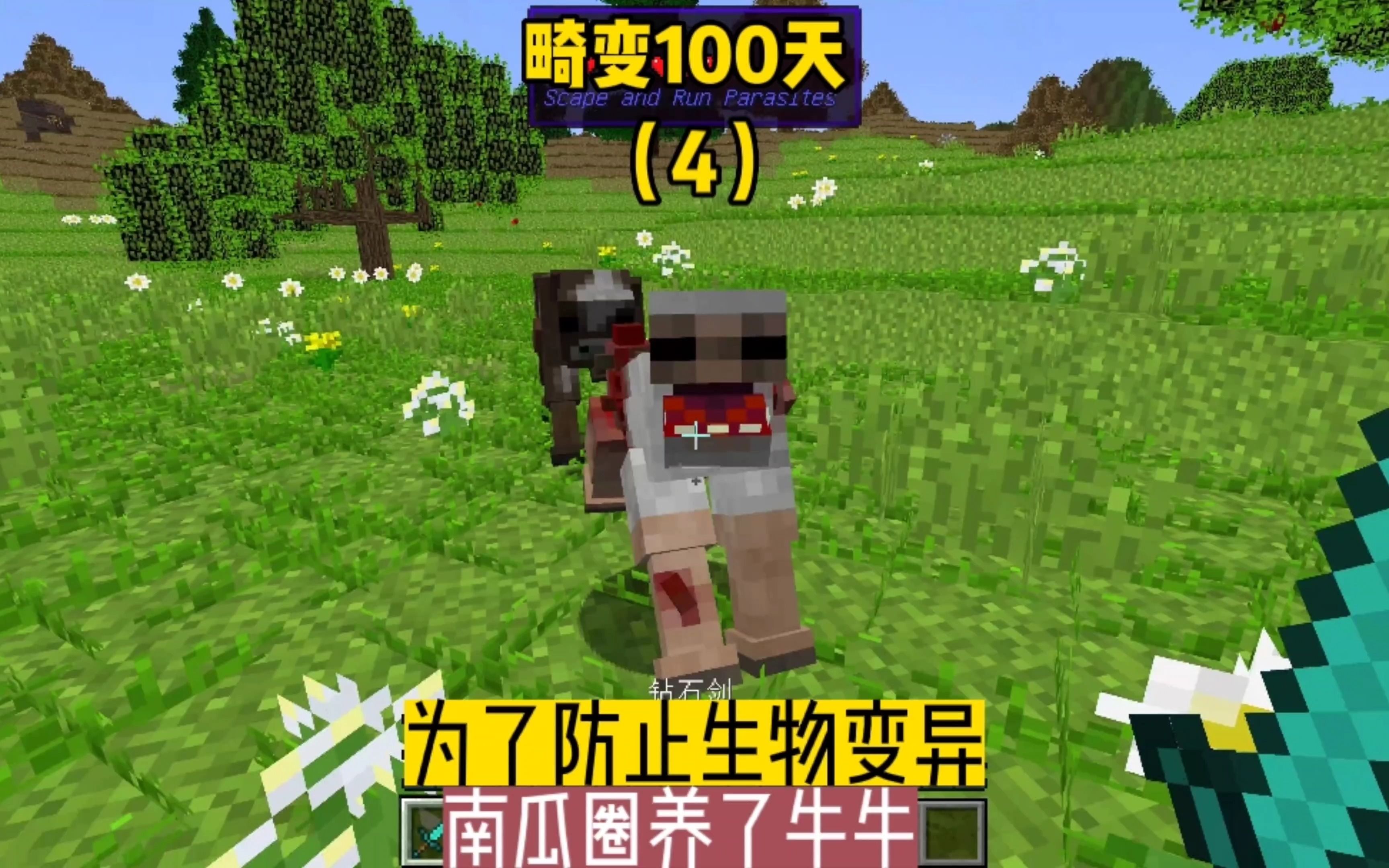 畸变100天(4):为了防止生物发生变异,南瓜圈养了牛牛_我的世界_实况...