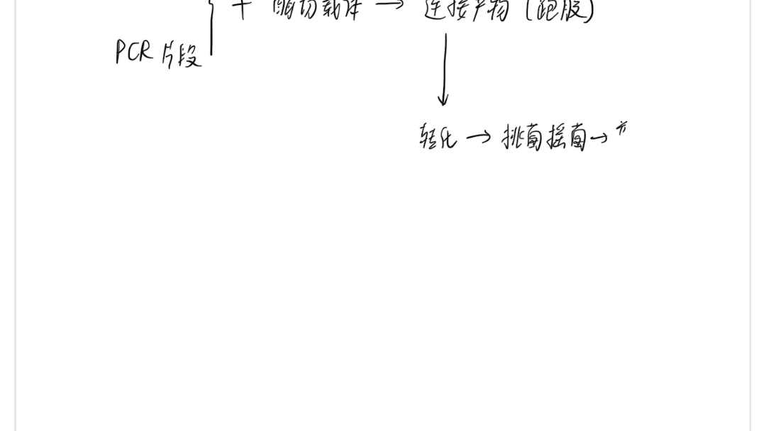 【研一】-01构建质粒