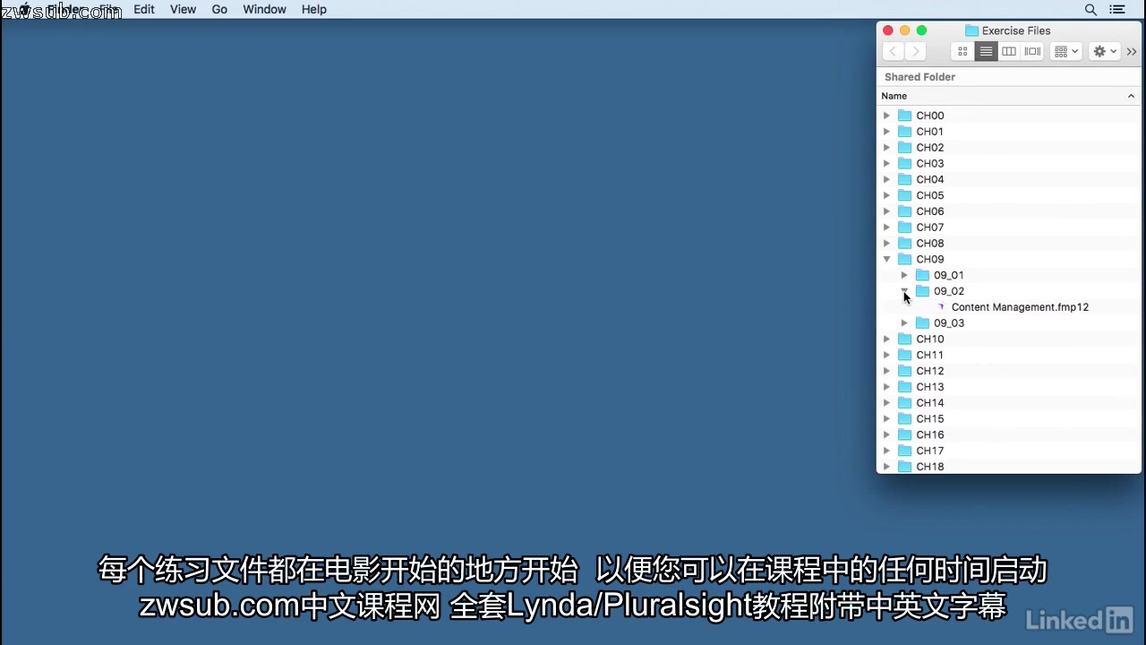 Lynda中文字幕 FileMaker Pro 15基础教程 FileMaker Pro 15 Essential ...