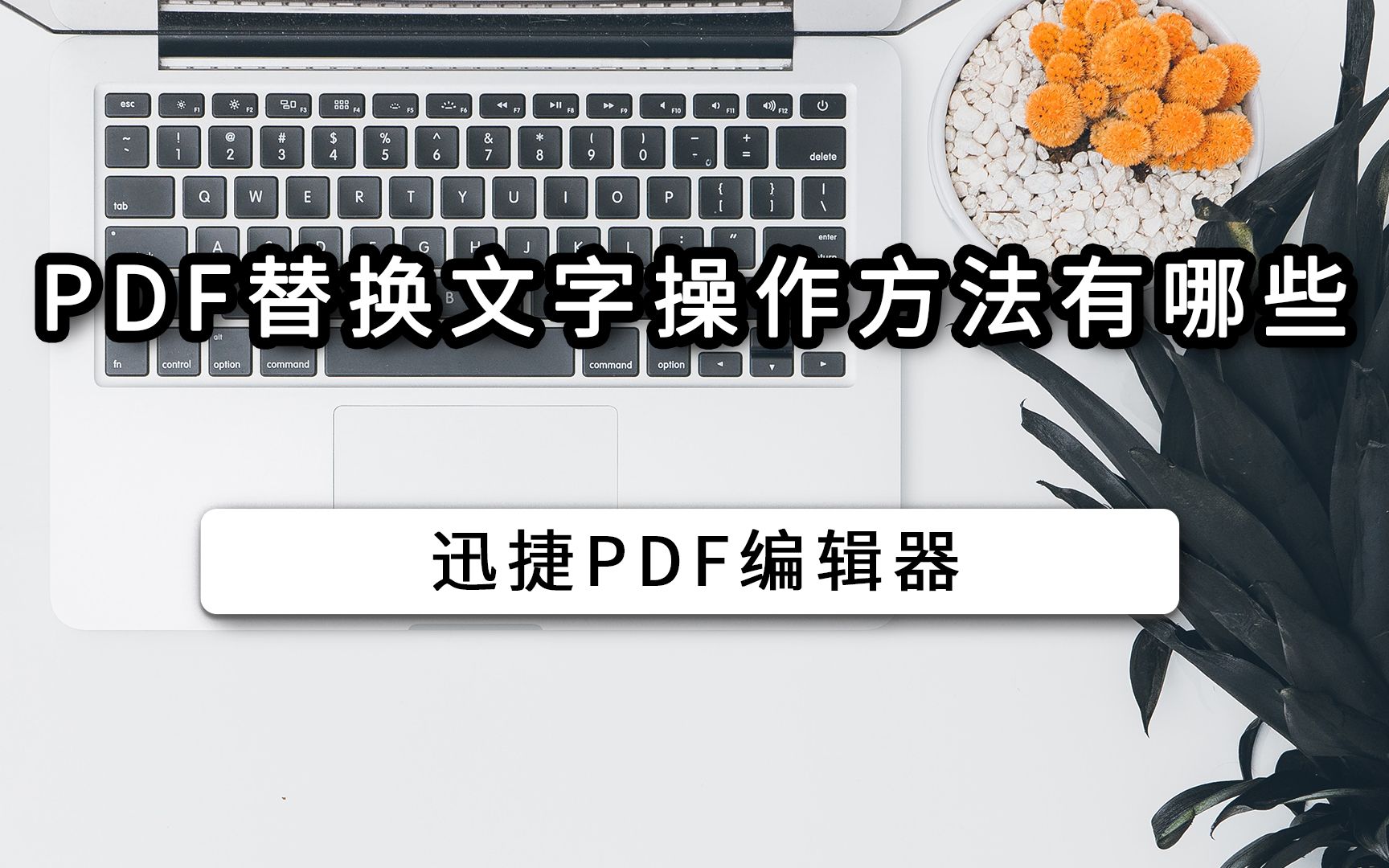 PDF替换文字操作方法有哪些