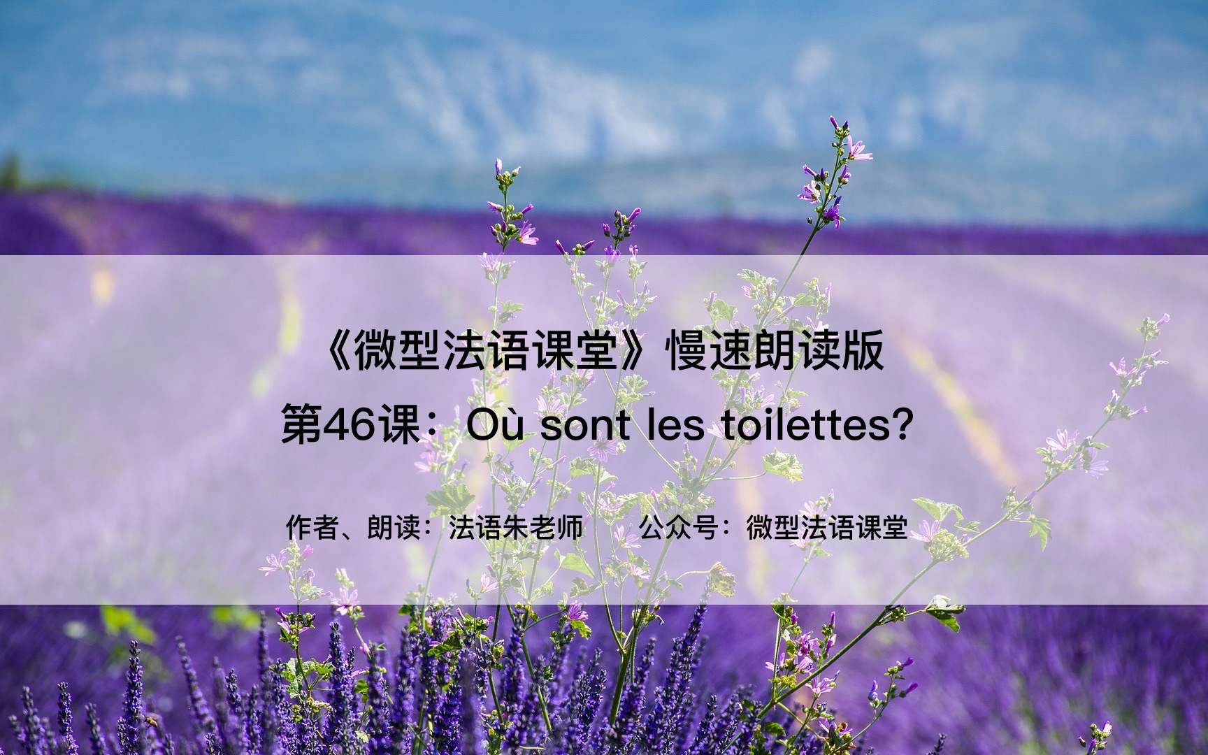《微型法语课堂》慢速朗读版第46课:Où sont les toilettes?