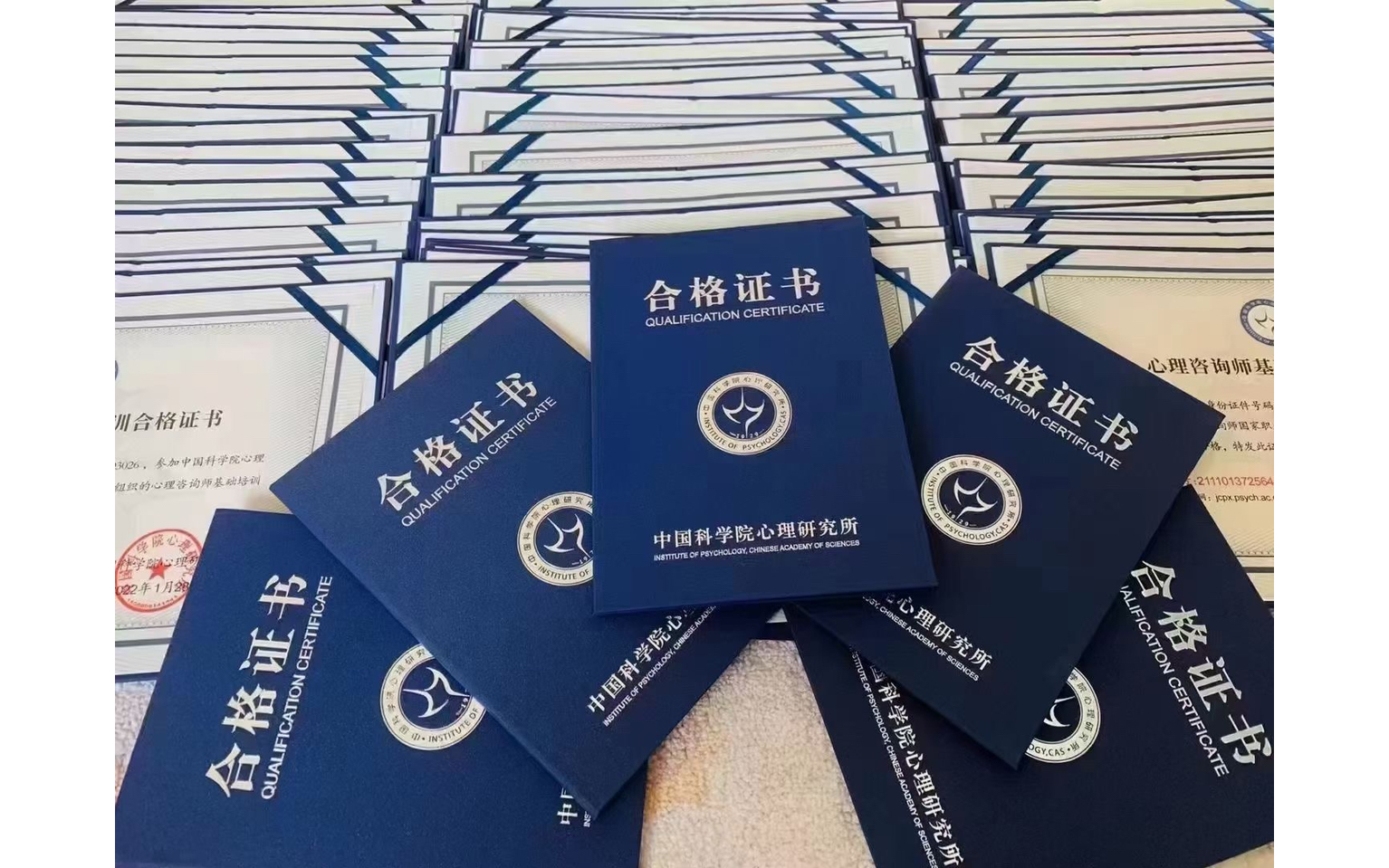 中科院-高级心理咨询师资格证书