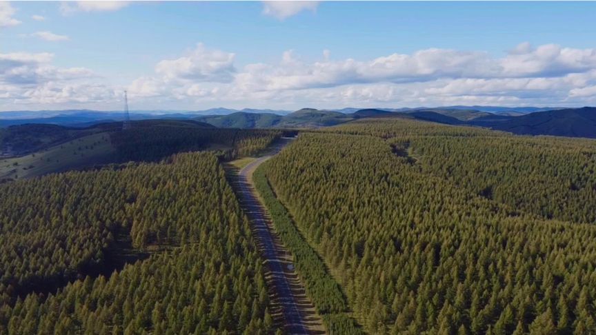 打卡河北塞罕坝国家森林公园