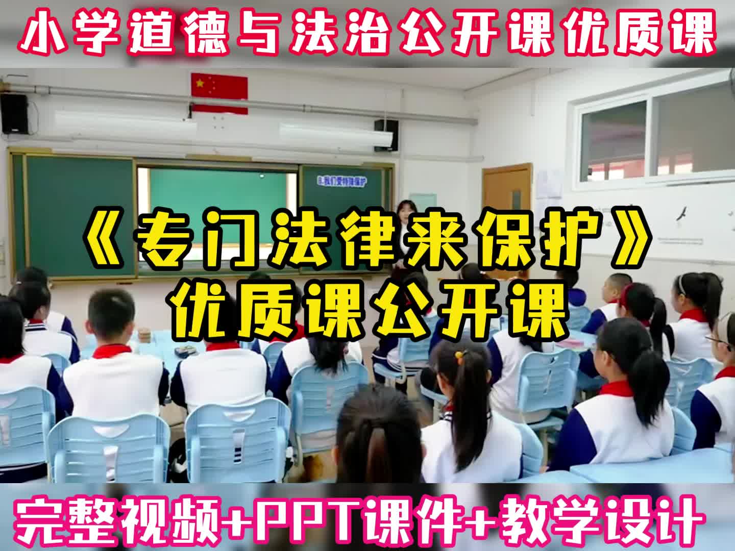 《专门法律来保护》公开课优质课一等奖