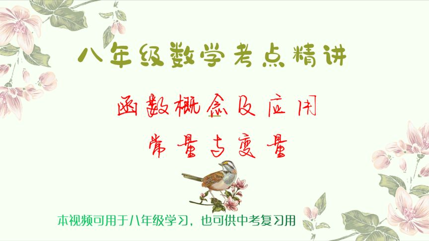 八年级数学考点讲解,函数概念及应用,常量与变量