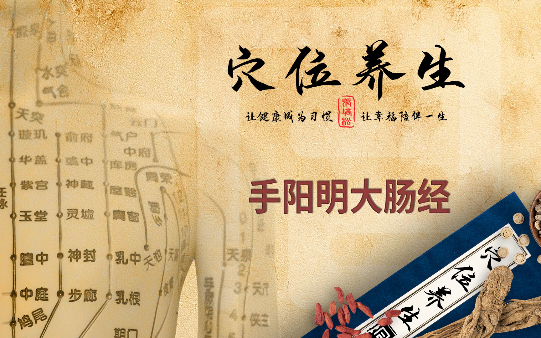 经络穴位养生 - 手阳明大肠经