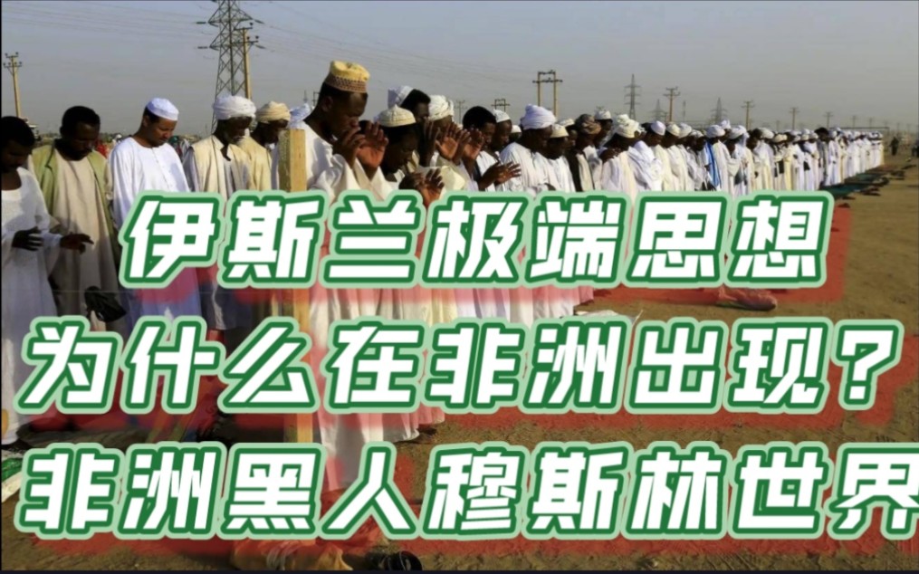 非洲近代史——伊斯兰极端宗教思想的发源地为什么在非洲大陆?