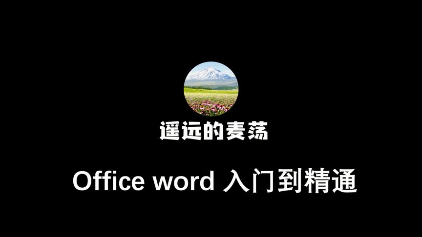 Office word入门到精通