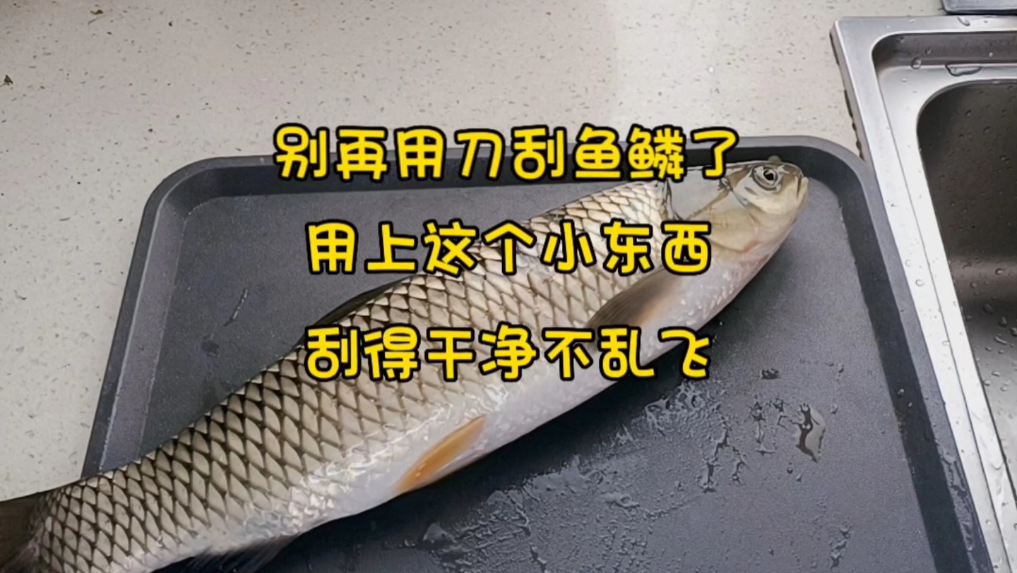 别再用刀刮鱼鳞了,用上这个小东西,刮得干净不乱飞,看完终身受益