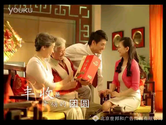 2008年稻花香酒广告