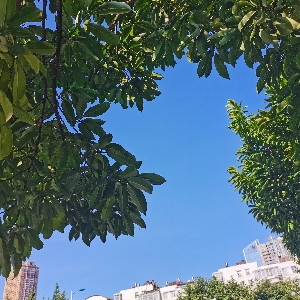 曾觅山水隐市林 