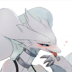 素狐狐 