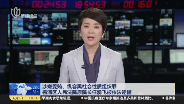 涉嫌受贿、纵容黑社会性质组织罪 杨浦区人民法院原院长任湧飞被...
