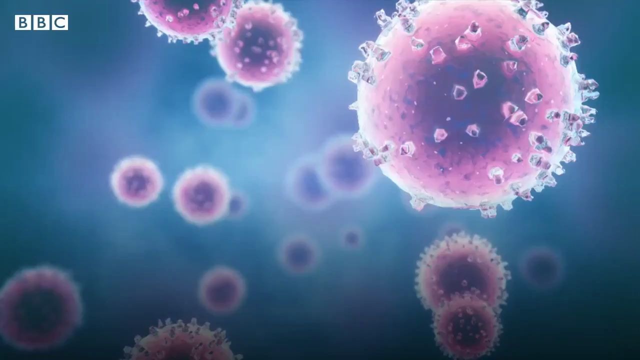 BBC关于新冠病毒的进一步科普知识