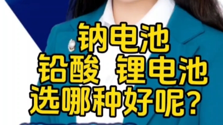 钠电池