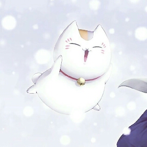 纯色黑白猫 