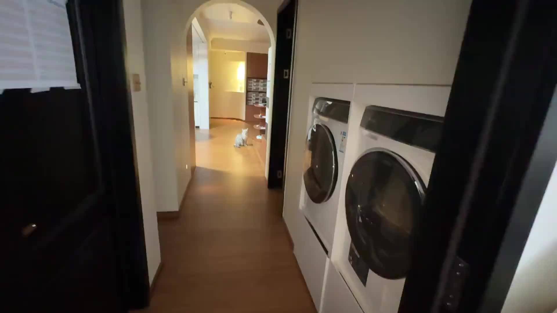 跟孩子分房睡以后,每天晚上都要出来巡逻好几次