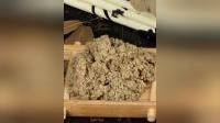 君晓天云陈年艾条纯艾家用薰艾柱正品手工艾炙条批发艾叶条妇科宫寒...