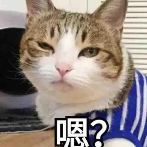 银灰的中榕 