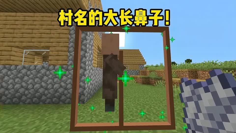 我的世界:村民的鼻子无限长!