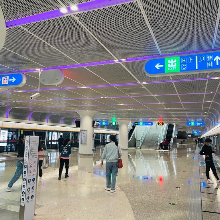 花栗松鼠a 