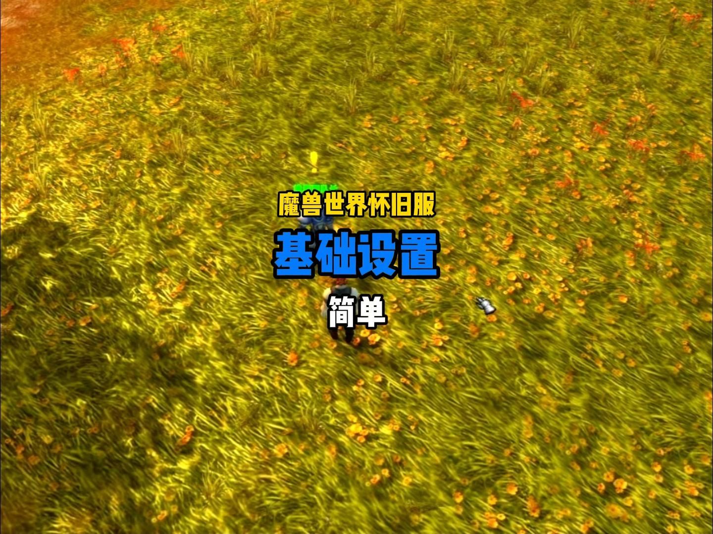 魔兽世界怀旧服入坑,游戏基础设置