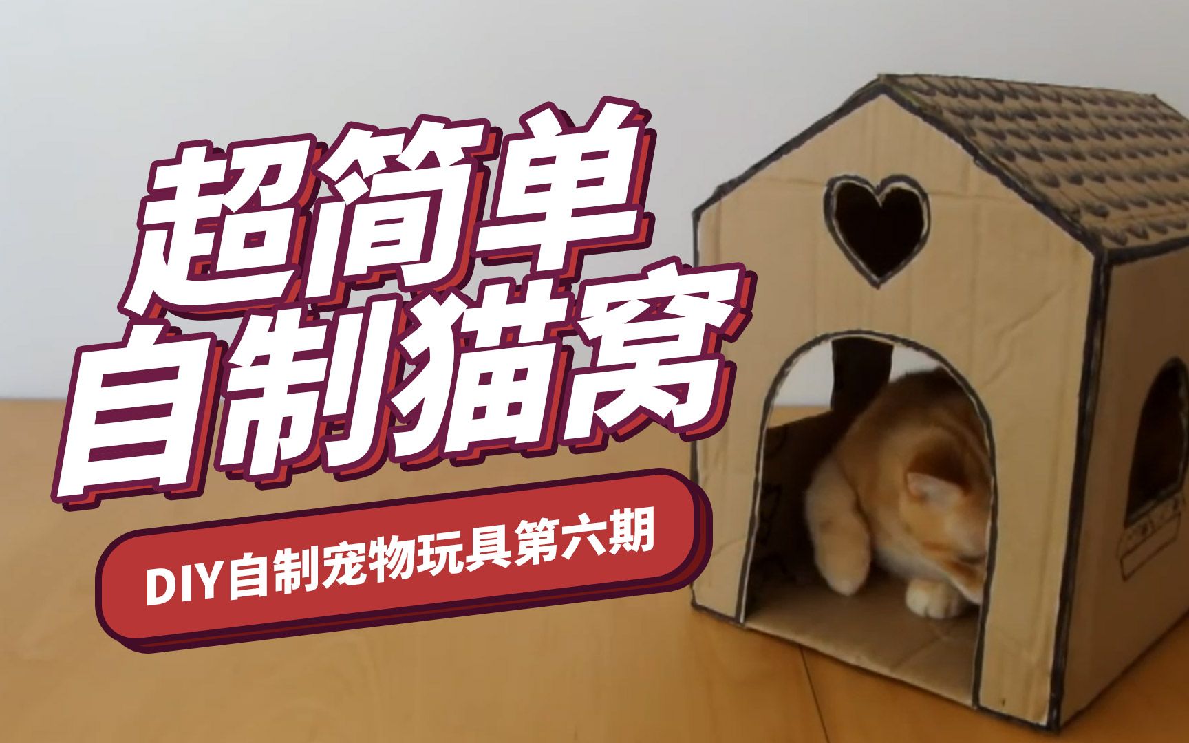 超简单DIY自制纸箱猫窝 养猫好物小教程 旧物利用小技巧