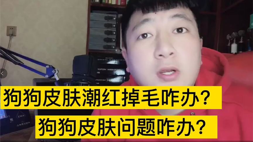 狗狗皮肤潮红掉毛化脓咋办？一定要看