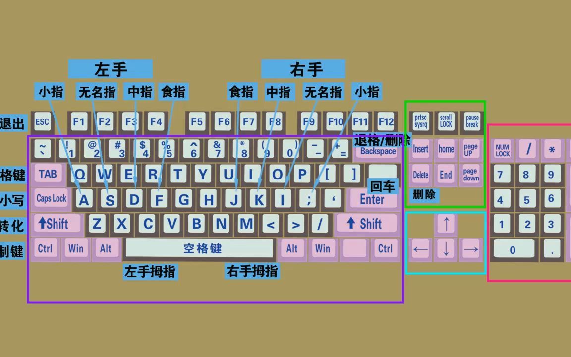 电脑初学者认识键盘和键盘正确打字方法