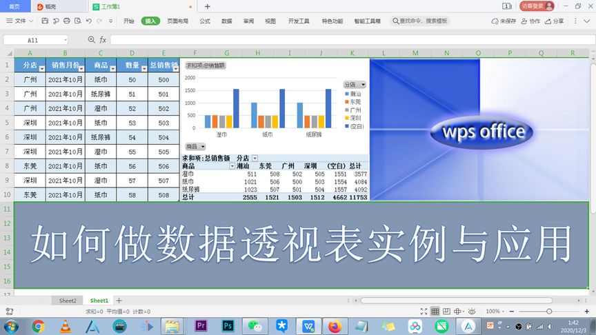 wps新手入门教程视频分享表格如何做数据透视表实例与应用
