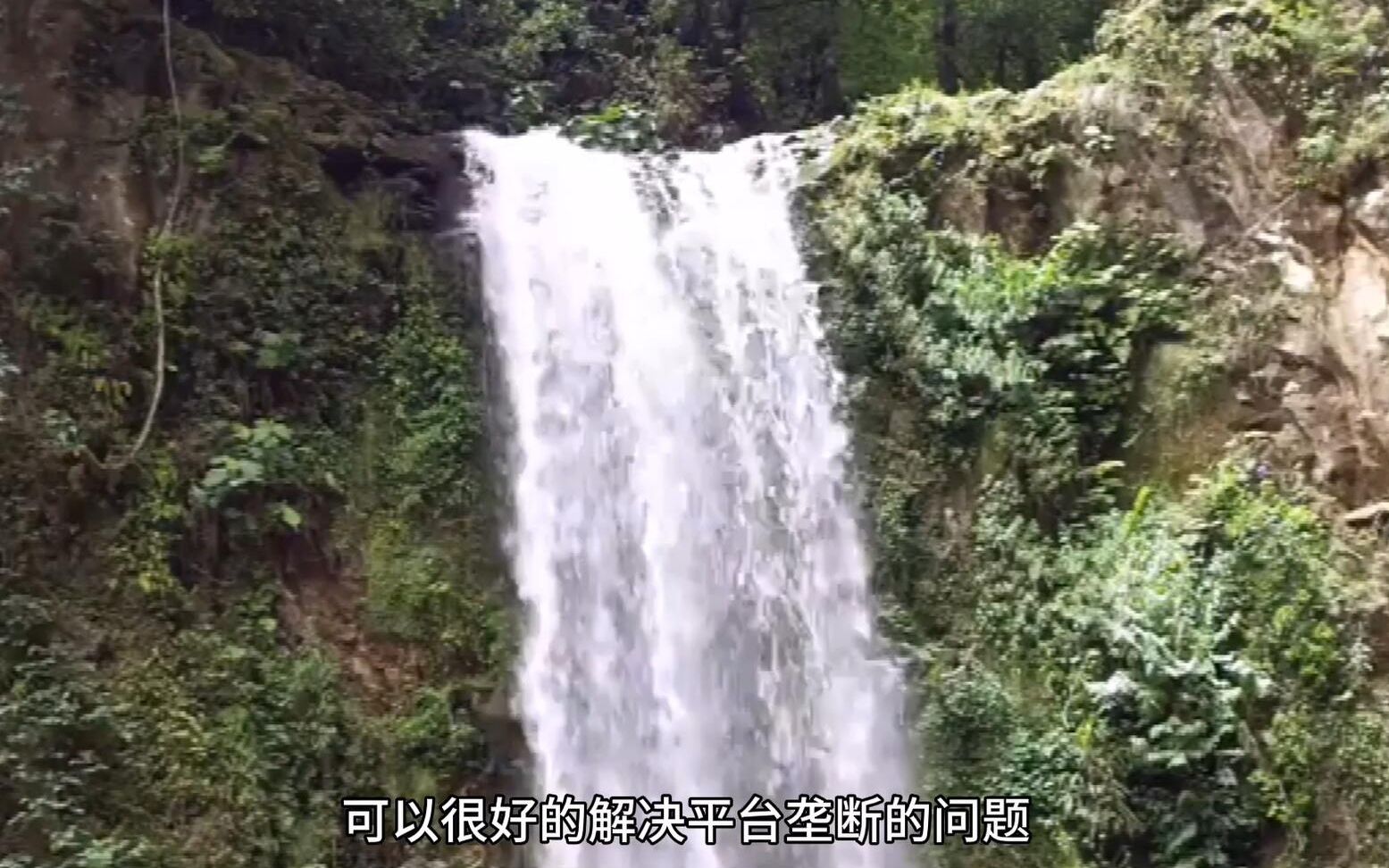 平台抽点如抽血,解决平台垄断商家唯有自建平台才能自救,小程序是...