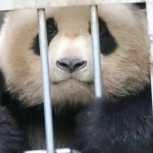无趣得段子 
