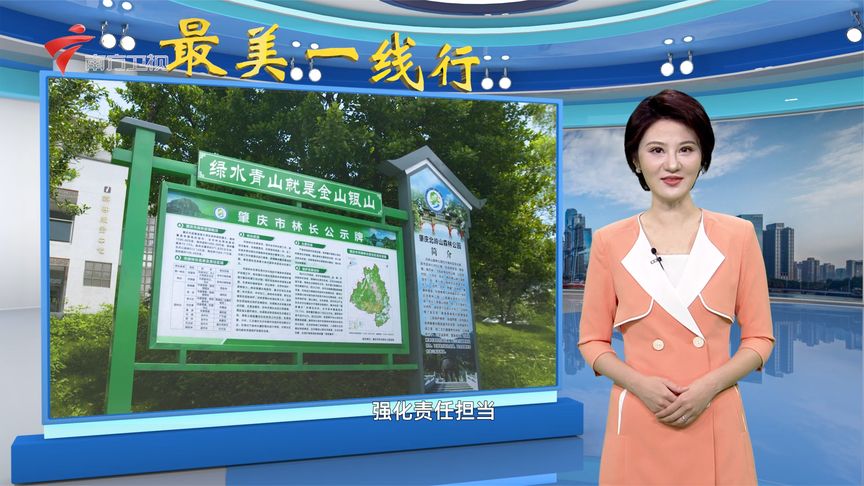 生态文明|肇庆:全力推动全面推行林长制工作