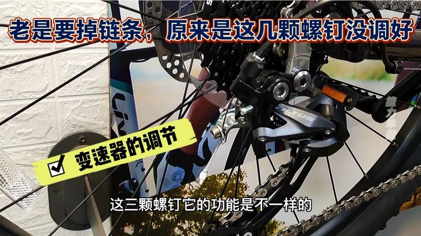 自行车总是要掉链条。原来是这几颗螺钉没有敲好。新手值得一看