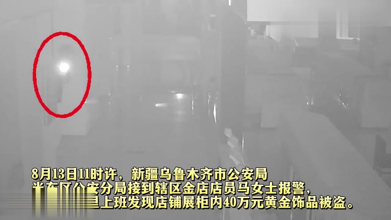 40万元黄金饰品被盗报警后2小时警方抓获嫌犯