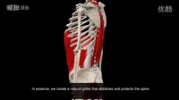 #3D动画课堂#什么是核心稳定性?核心稳定有什么作用?
