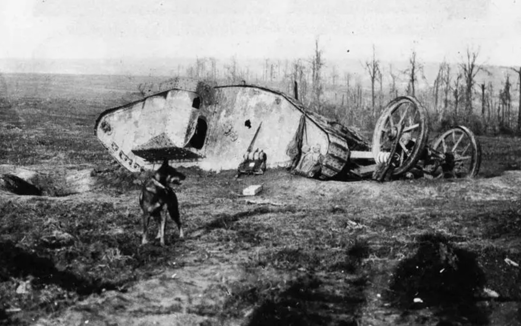 【第一次世界大战/混剪】这就是你想要的战争吗?