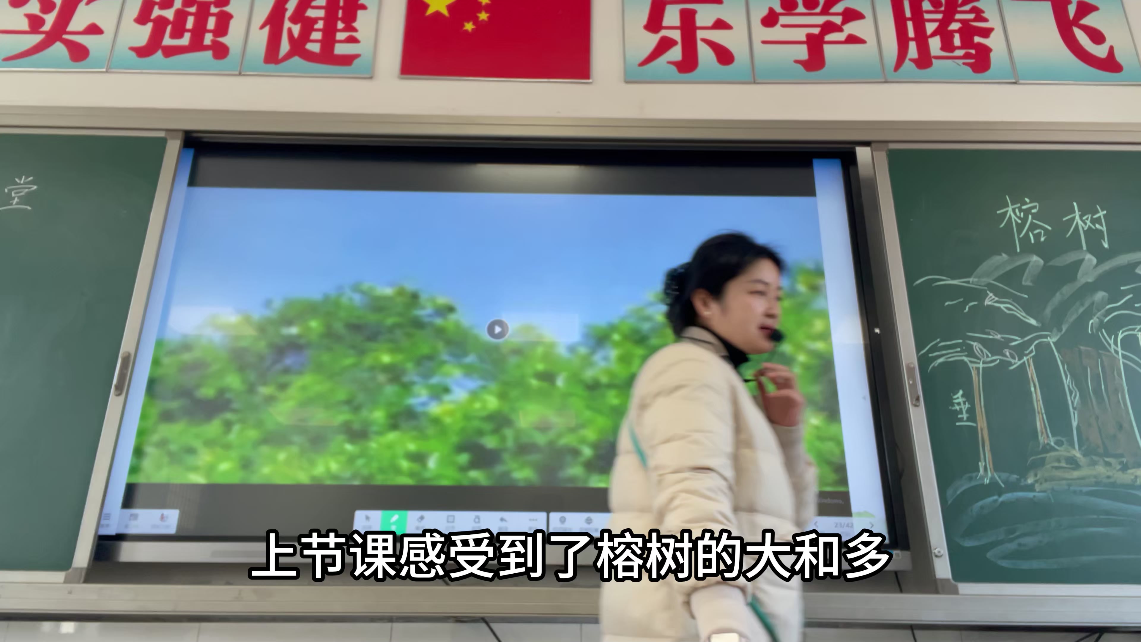 课堂实录|《鸟的天堂》不是所有课文都要小组合作上台展示!⭐ 以读促...